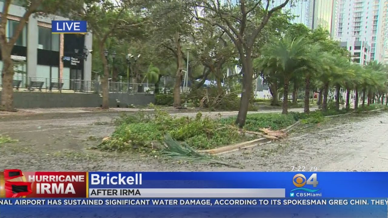 Brickell Flood Waters Recede - YouTube