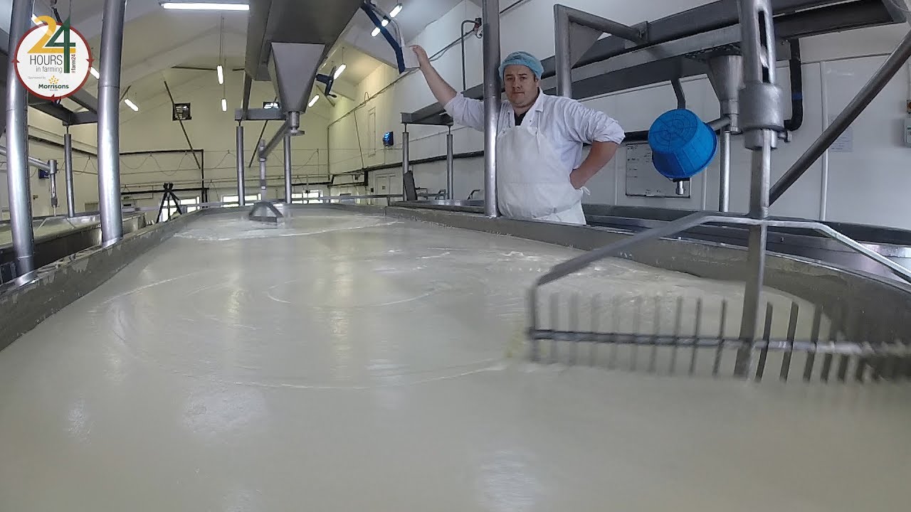 24 Hours in Farming 2017: Cheese making on Home Farm - YouTube