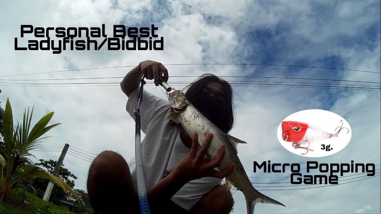 Hunt for Ladyfish | Micro Popping Game - YouTube