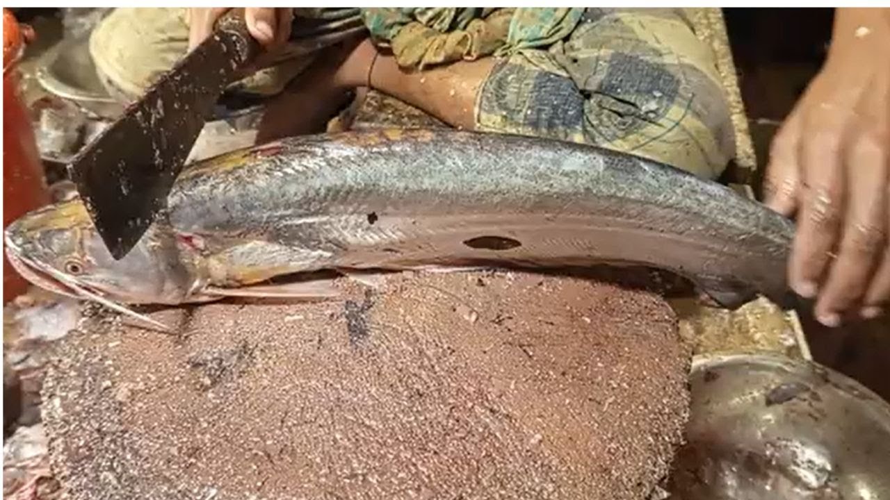 How Easy It Is to Cut Popular Boal Fish! - YouTube