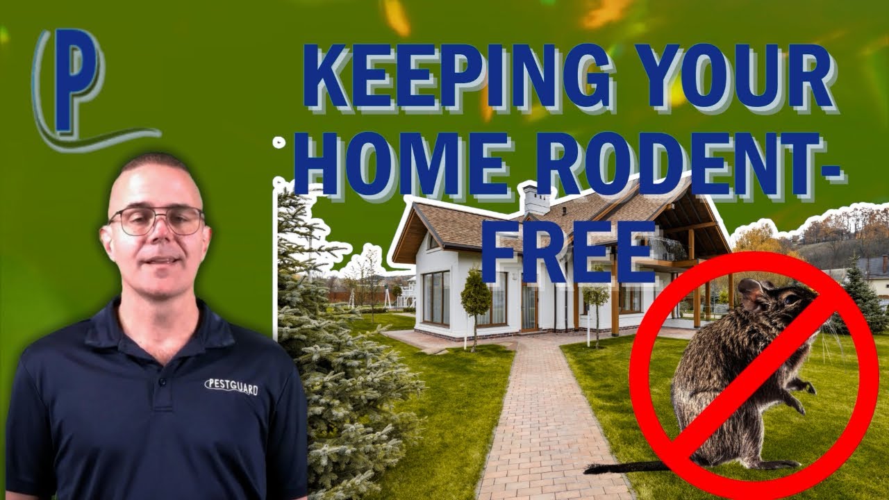 Keeping Your Home Rodent-Free - YouTube