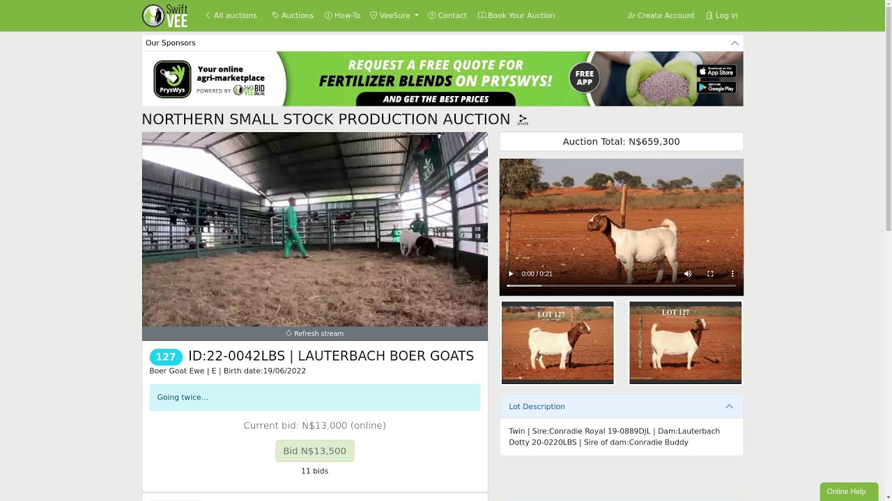 NORTHERN SMALL STOCK PRODUCTION AUCTION - YouTube