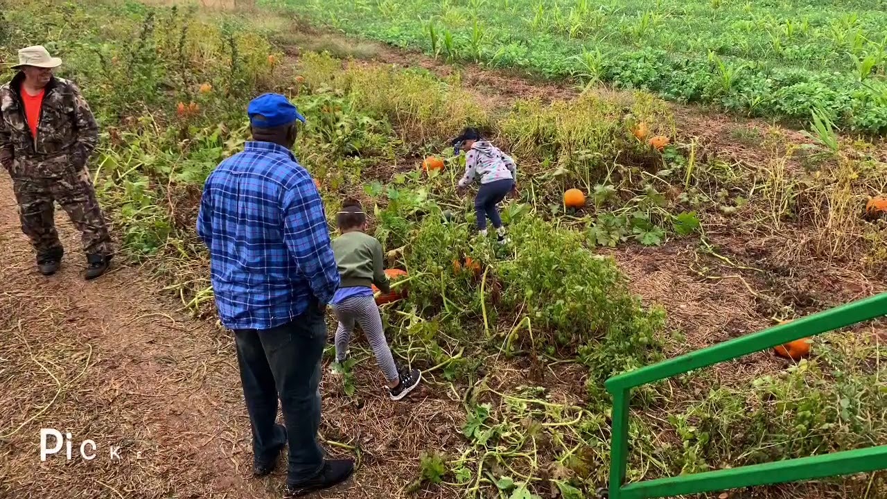 Tate Farms In Alabama - YouTube