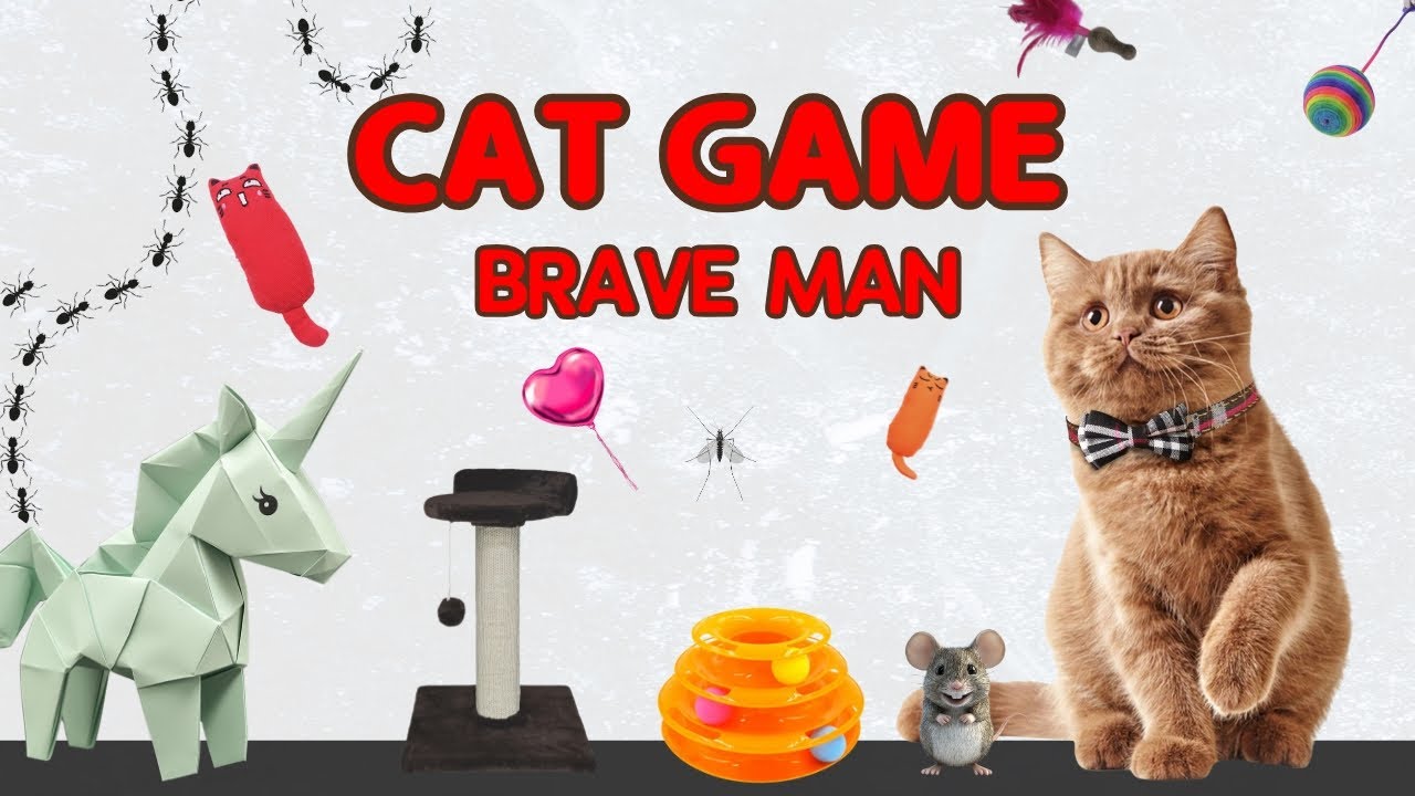 CAT Games | Ultimate Cat TV Compilation Vol 112 | 6 HOURS 🐝🐞🦋🦎🦜🐜🐭🧵 ...