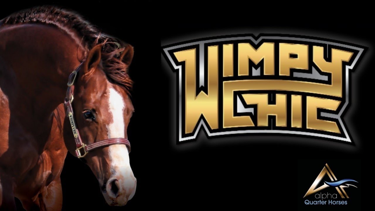 Wimpy Chic at Alpha Quarter Horses - YouTube