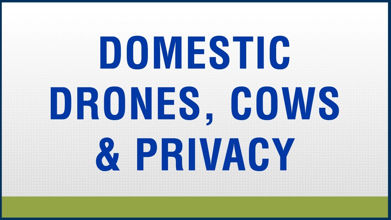 Domestic Drones, Cows & Privacy - YouTube