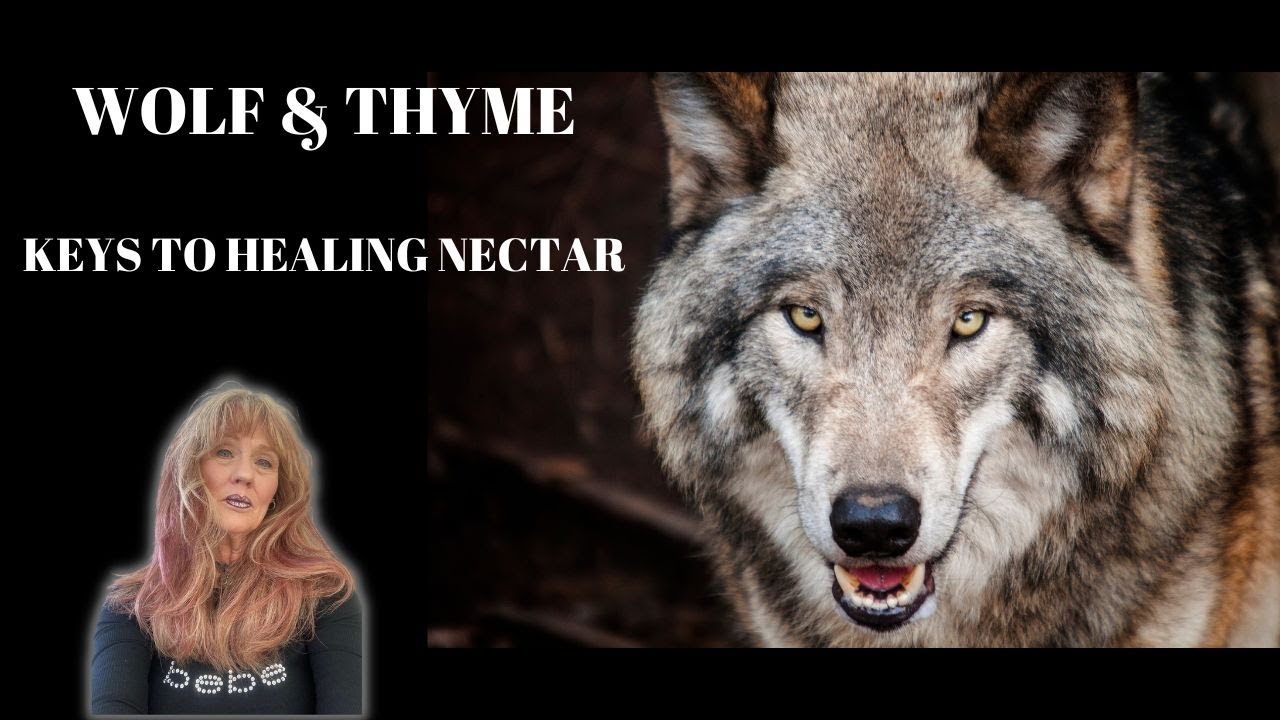 Wolf & Thyme Box Review // Keys to Healing Nectar Theme February 2023 ...