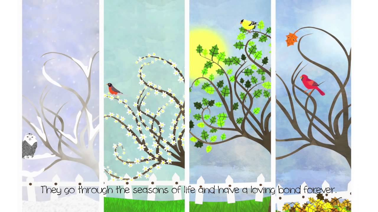 The Little Leaf That Wouldn't Fall by Phil Scrima - YouTube