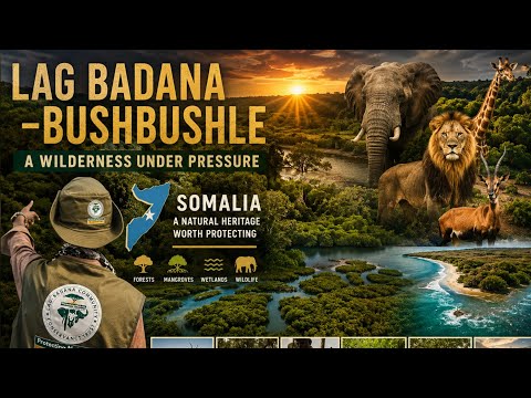 LAG BADANA–BUSHBUSHLE: A WILDERNESS WORTH SAVING  Duurjoog Mudan in La Badbaadiyo 🇸🇴