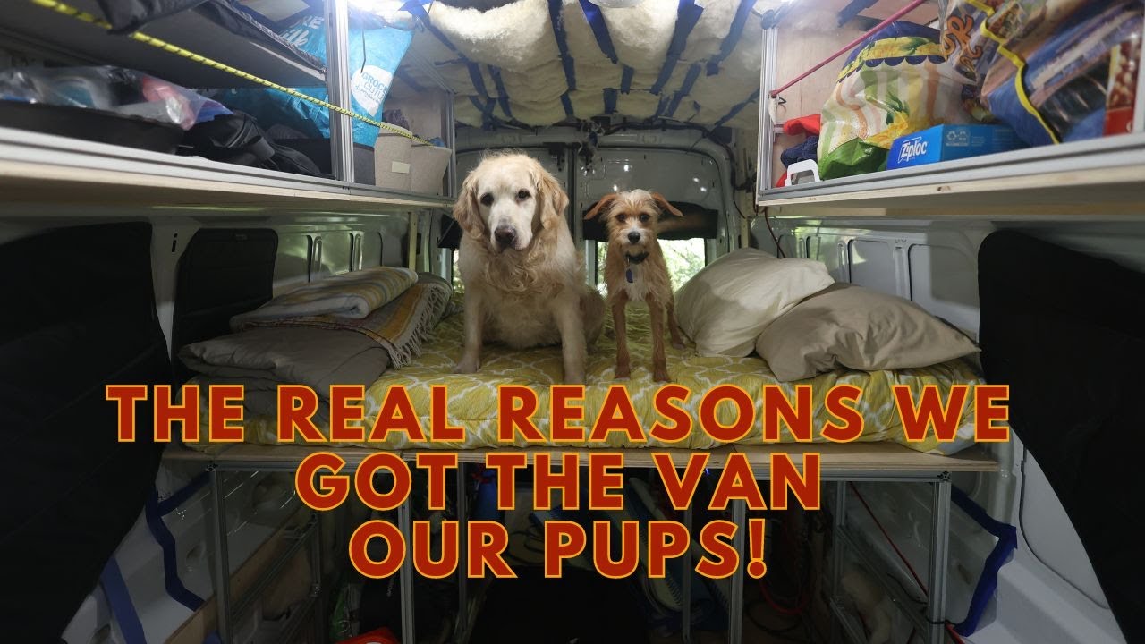 The Real Reason Behind Our Van Purchase | Pup Adventures & Murphy Bed ...
