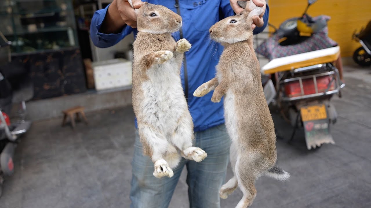 兔子宰杀技能！美味的香酥辣全兔，中国湖南衡阳市美食！Rabbit slaughter skills! Crispy and spicy whole rabbit, Chinese food ...