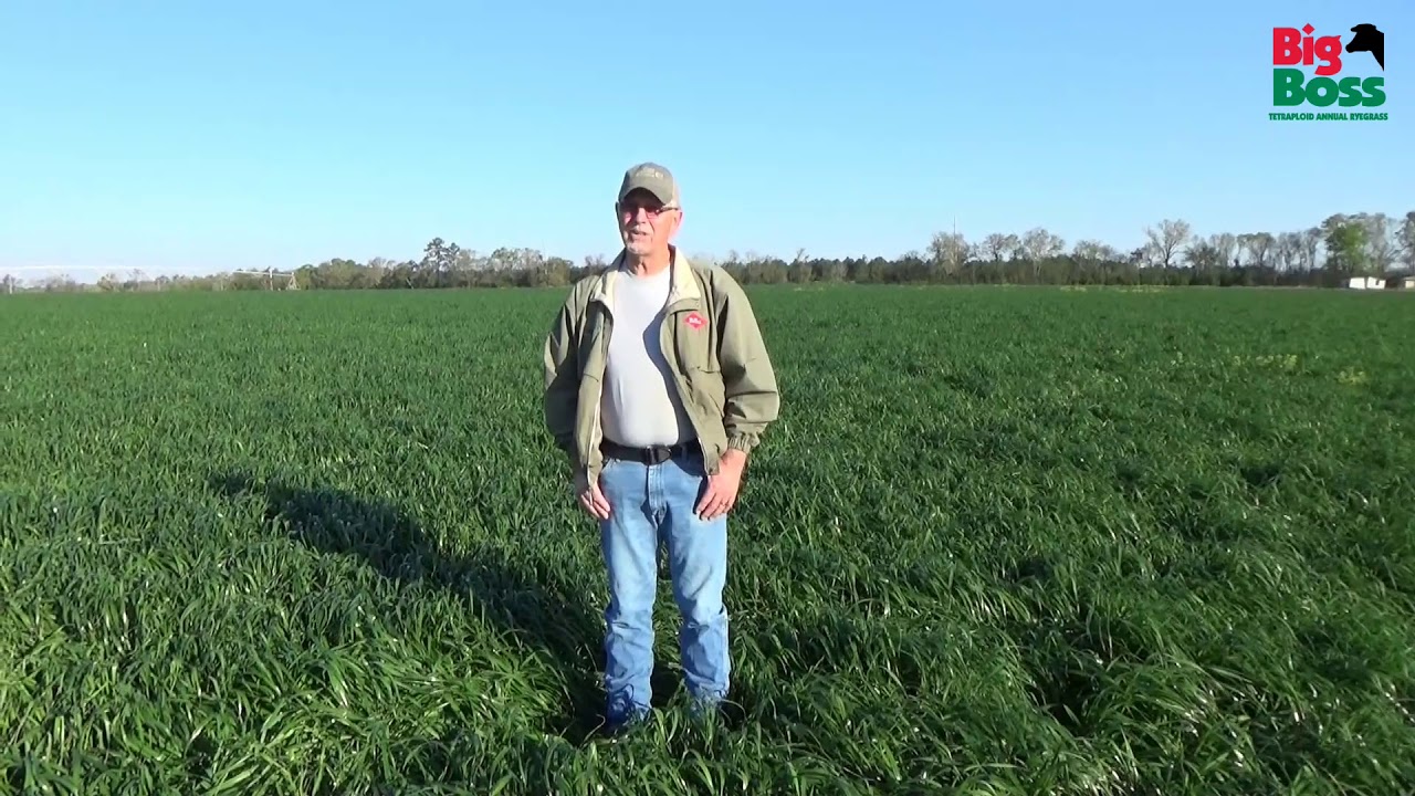 Big Boss Ryegrass Testimonial - Providence Dairy - YouTube