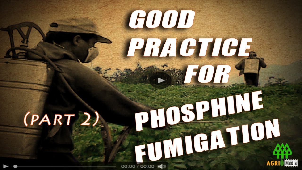 GOOD PRACTICE for PHOSPHINE FUMIGATION (part 2) - YouTube