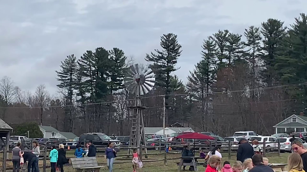 Easter Egg Hunt at Tendercrop Farm 2019 - YouTube