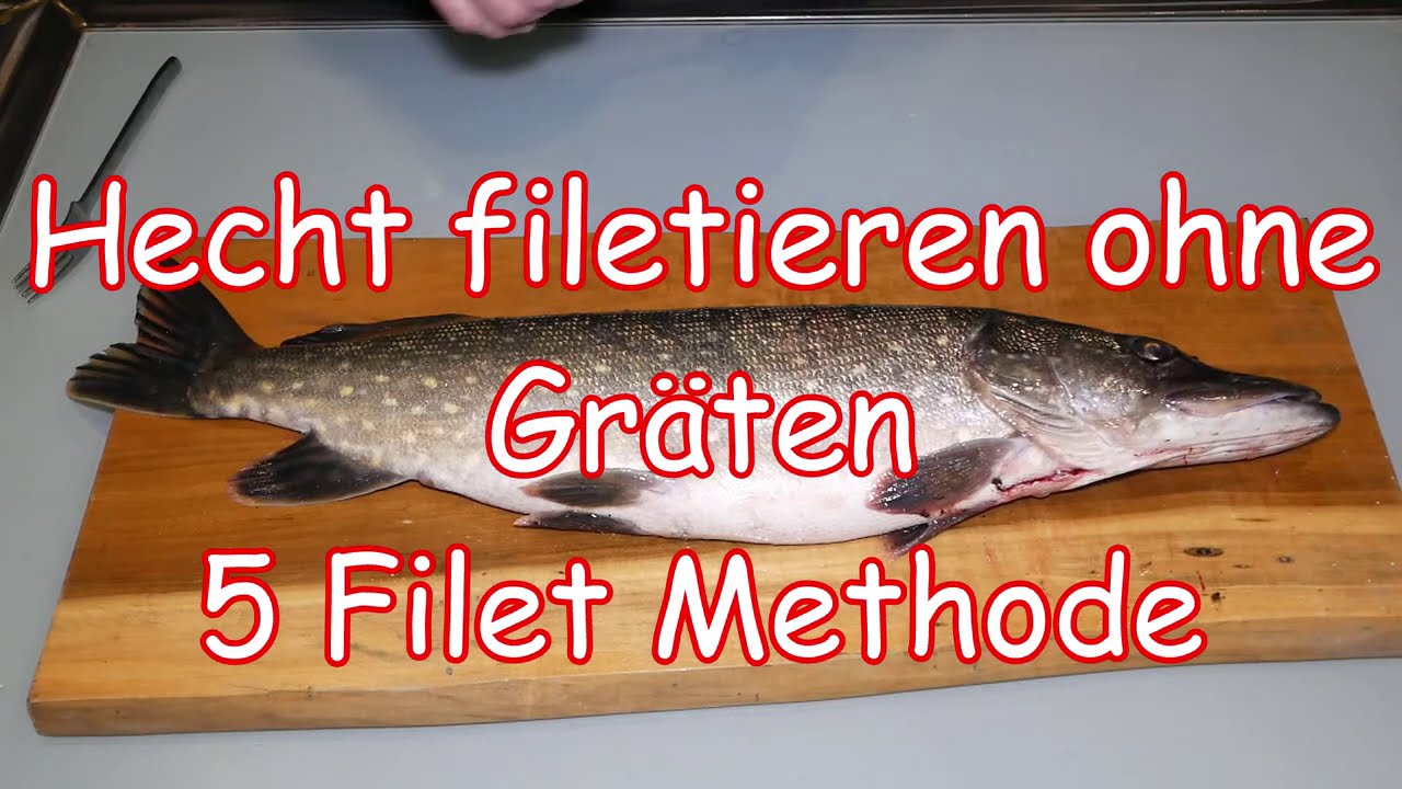 Hecht filetieren ohne Gräten 5 Filet Methode - YouTube