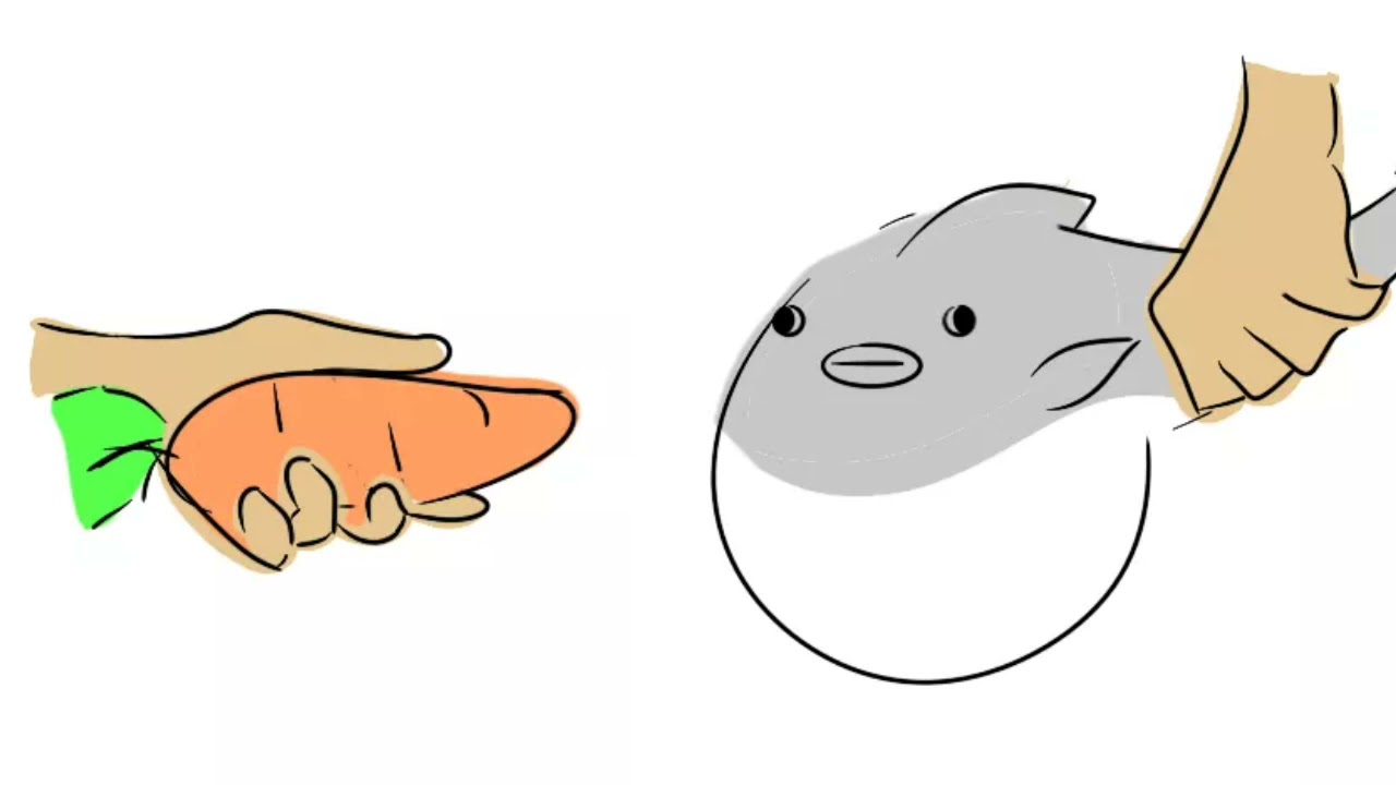 Pufferfish Eating A Carrot(Animation) - YouTube