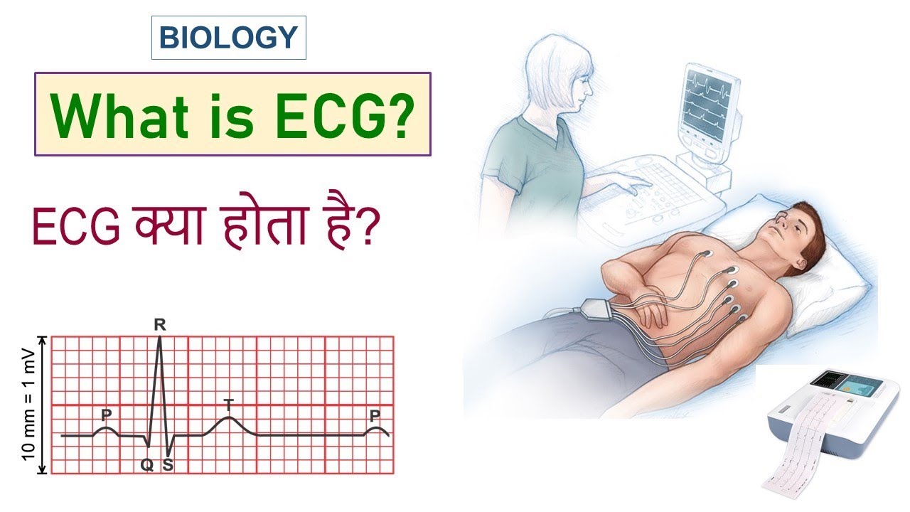 WHAT IS ECG? | ECG क्या होता है? | BIOLOGY TUTORIALS | NEET | MHT-CET ...