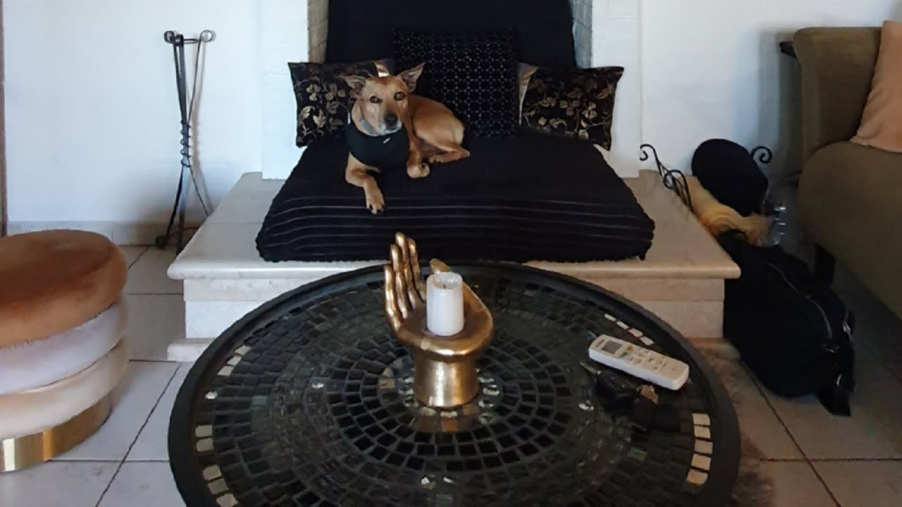 Barban Istria Tiny House #Travel #Staycation #vlog #food #spring # ...