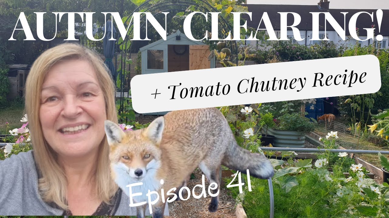 Episode 41 - Autumn Clearing and Tomato Chutney Recipe - YouTube