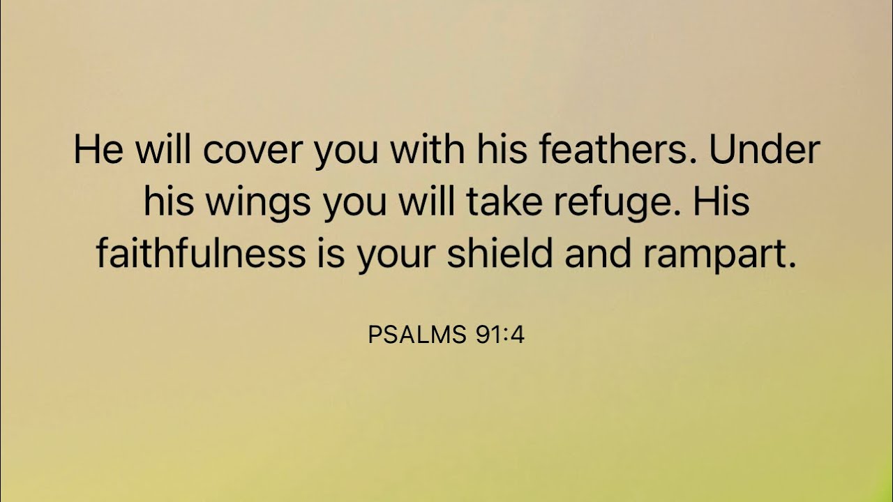 I give them eternal life and they shall never perish neither shall any ...