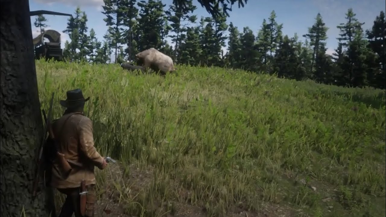 Hidden gang’s camp getting attacked by arthur and a BEAR 🐻 |Red Dead ...
