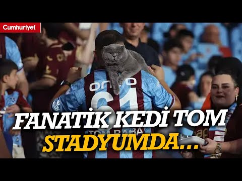 Trabzonspor's cat 'Tom' watched the match from the stands...