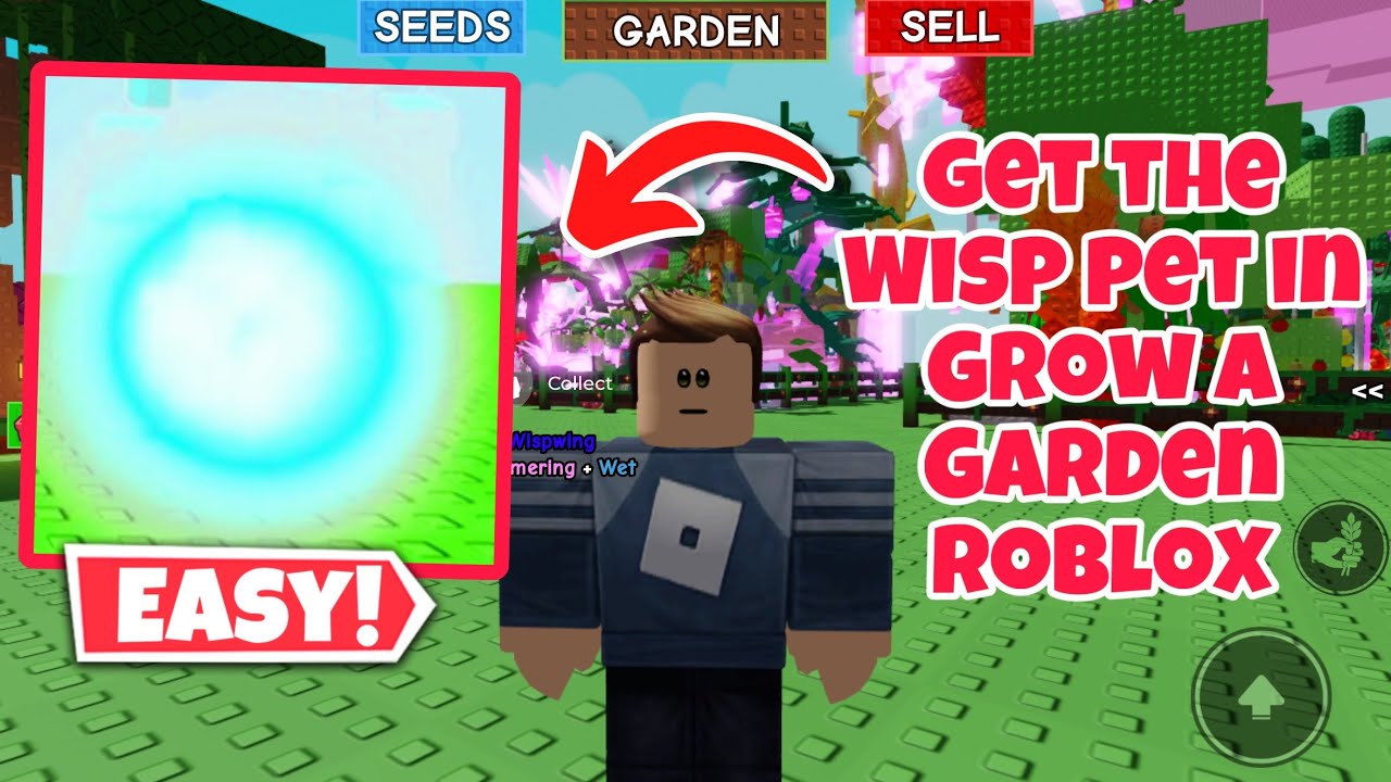 How to get the Wisp pet in Grow a Garden Roblox - YouTube