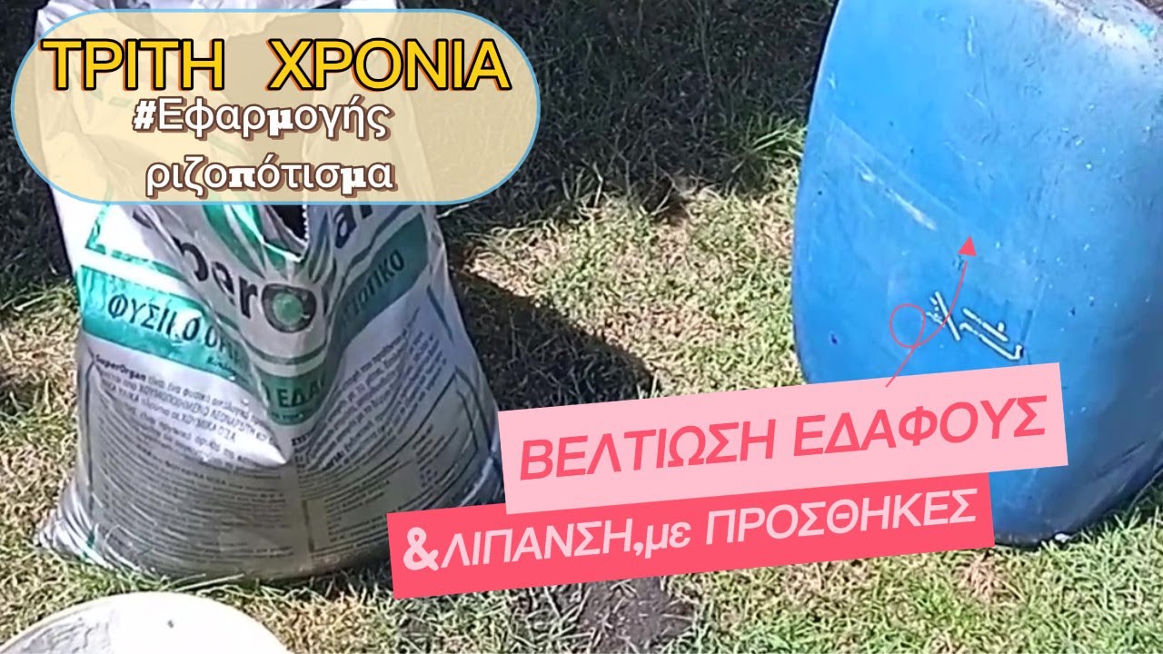 🫒ΘΡΕΨΗ ΕΛΙΑΣ🫒ΤΡΙΤΗ ΧΡΟΝΙΑ ΕΦΑΡΜΟΓΗΣ-ΡΙΖΟΠΟΤΙΣΜΑ🍃💚 - YouTube