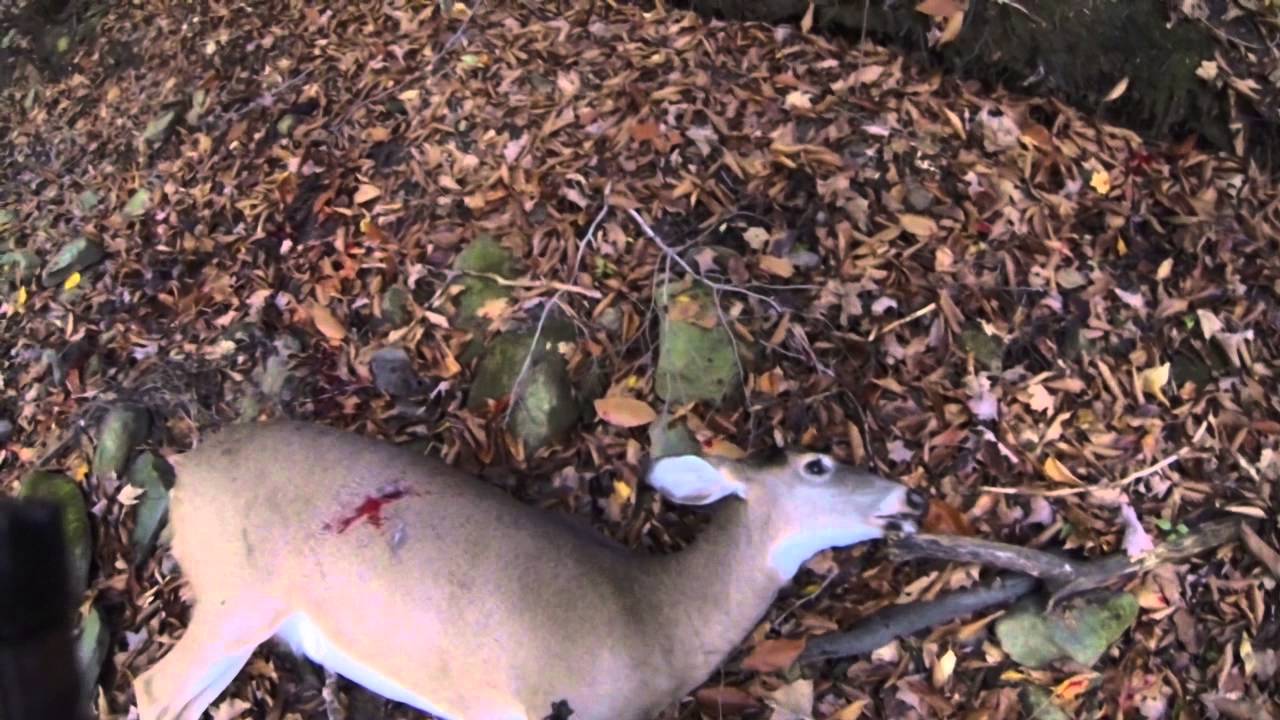 bedell custom DOE TRACK 2 2 - YouTube