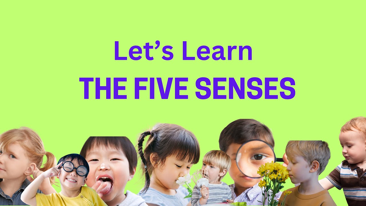 Learn 5 Scenes for Kids - Fun lessons with Pictures and Videos | Kids ...