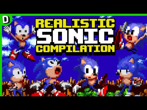 If Sonic The Hedgehog Was Realistic