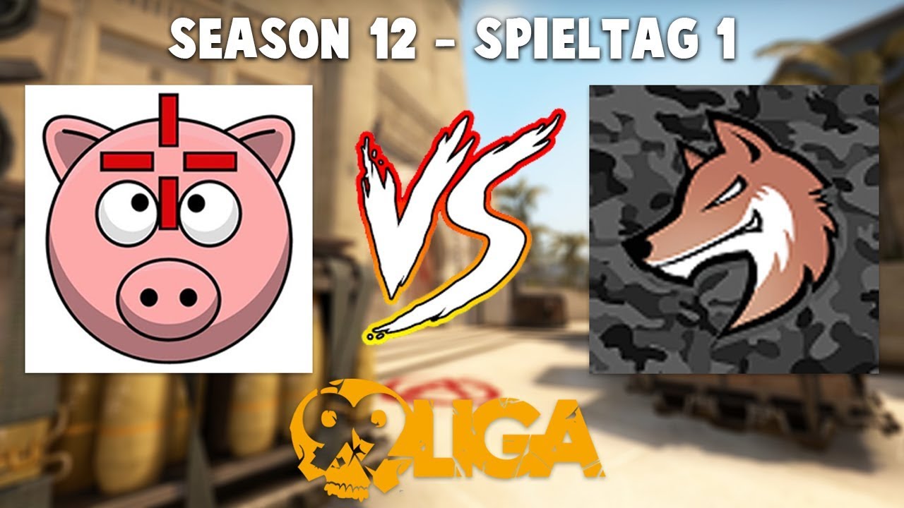 🤜 TEAM SCHWEINEAIM vs. FoxRaiD Army 🤛 - 99Damage Liga Season 12 - YouTube