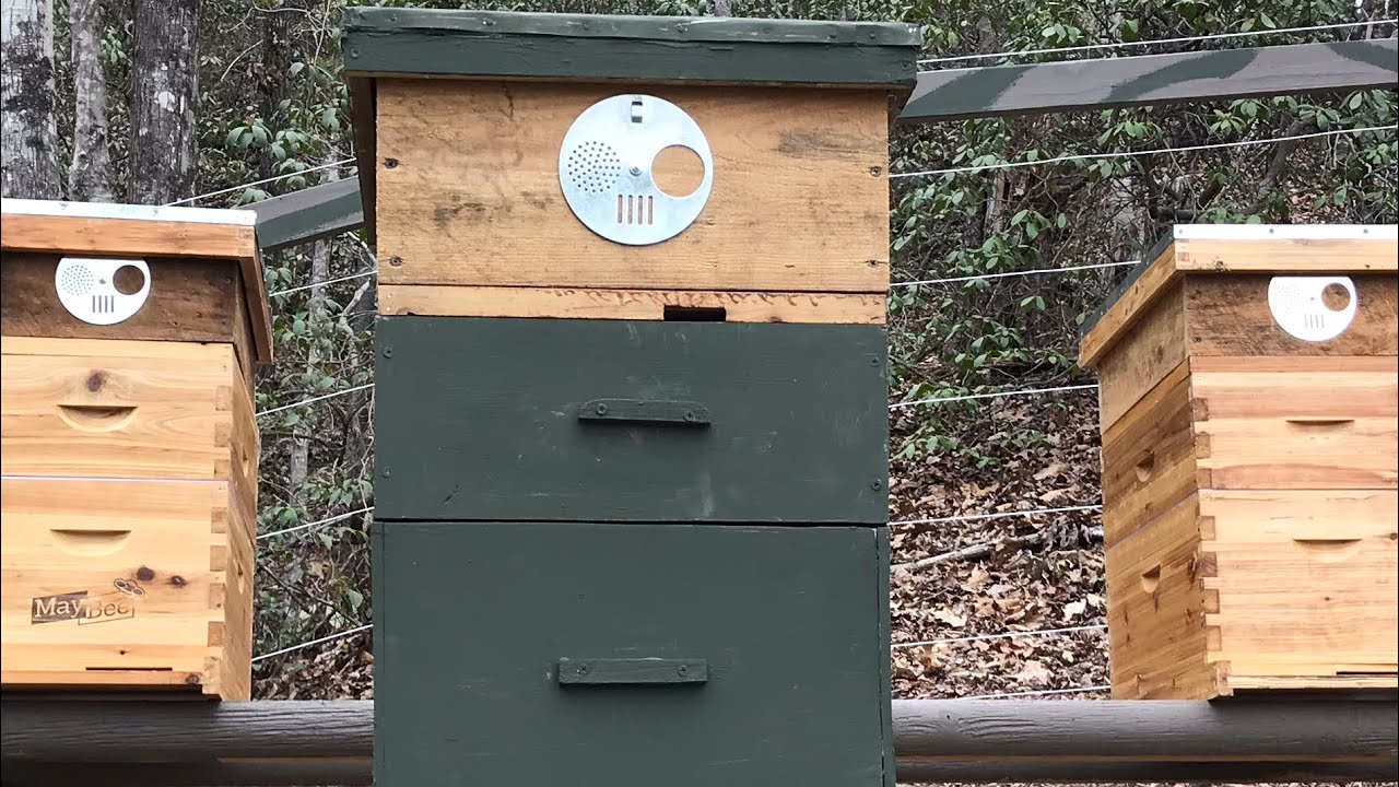 BEEHIVE ENTRANCE DISC/GATE-How to install - YouTube