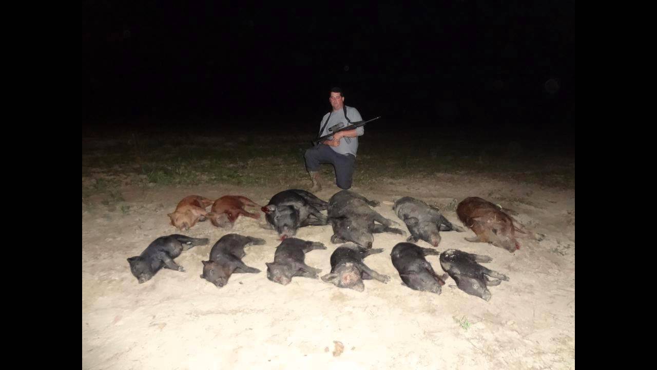 South Georgia Hog Hunting -- Dark Thirty Hog Control -- www ...