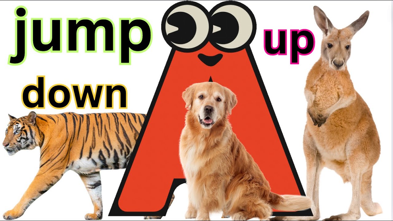 Learn Sight Words JUMP, UP and DOWN | GREAT VIDEO for Early Readers ...