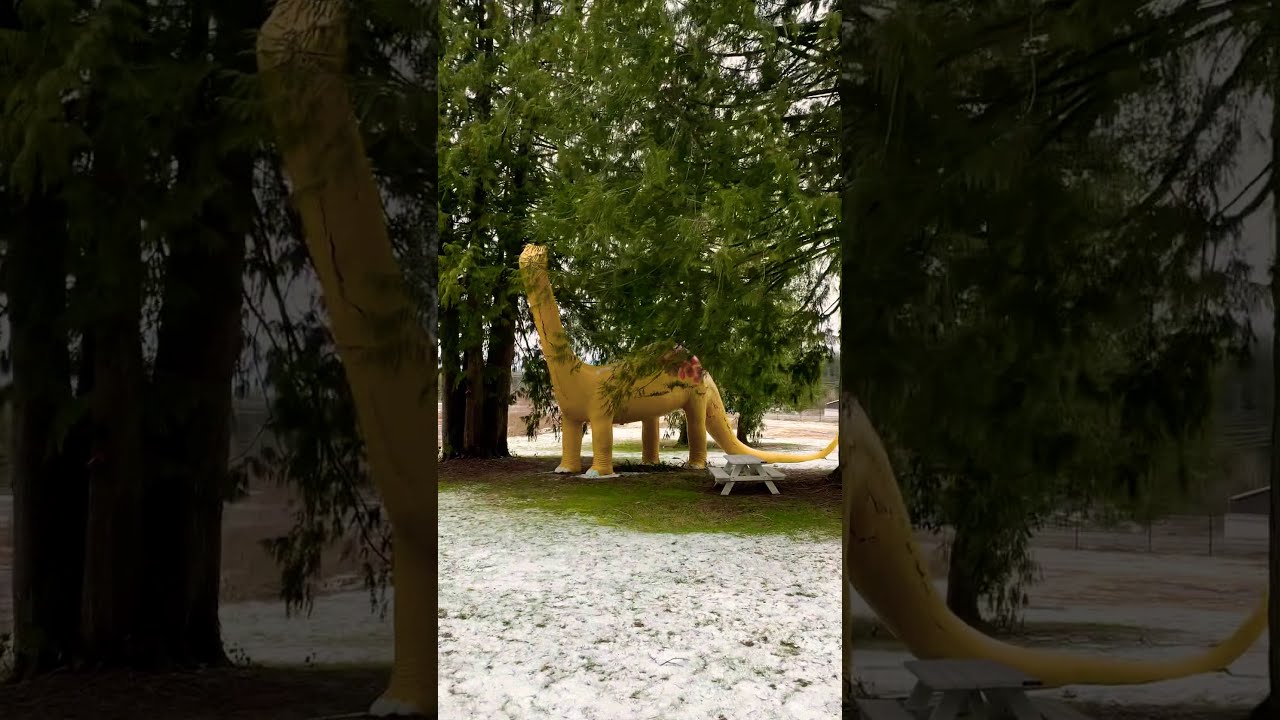 Dinotown 🇨🇦 - YouTube