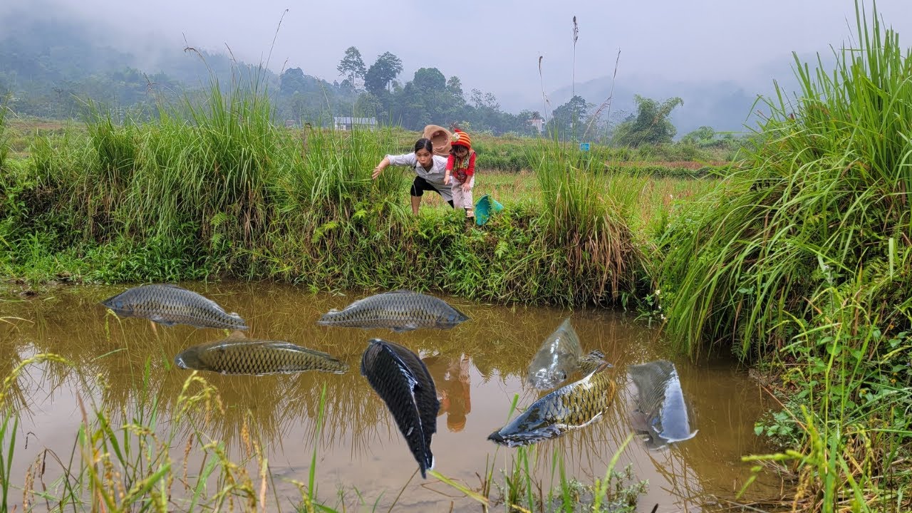 Full video: 30 days of catching fish in a long abandoned pond, suddenly ...