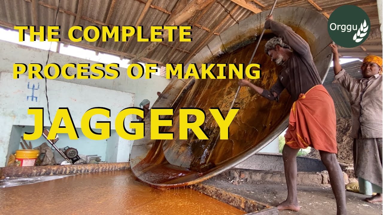 The complete process of making Jaggery | how to find pure Jaggery ...