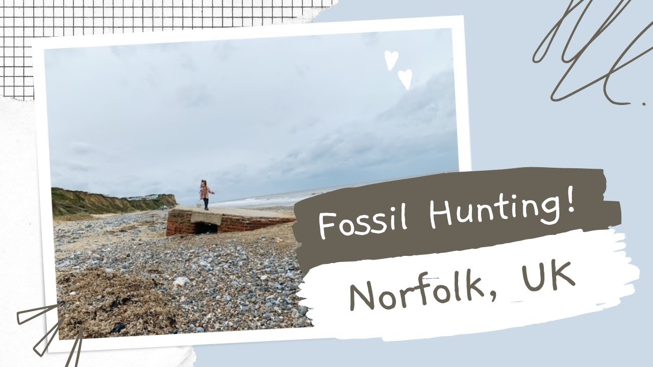 Norfolk Beaches | Fossil Hunting at East Runton Beach - YouTube