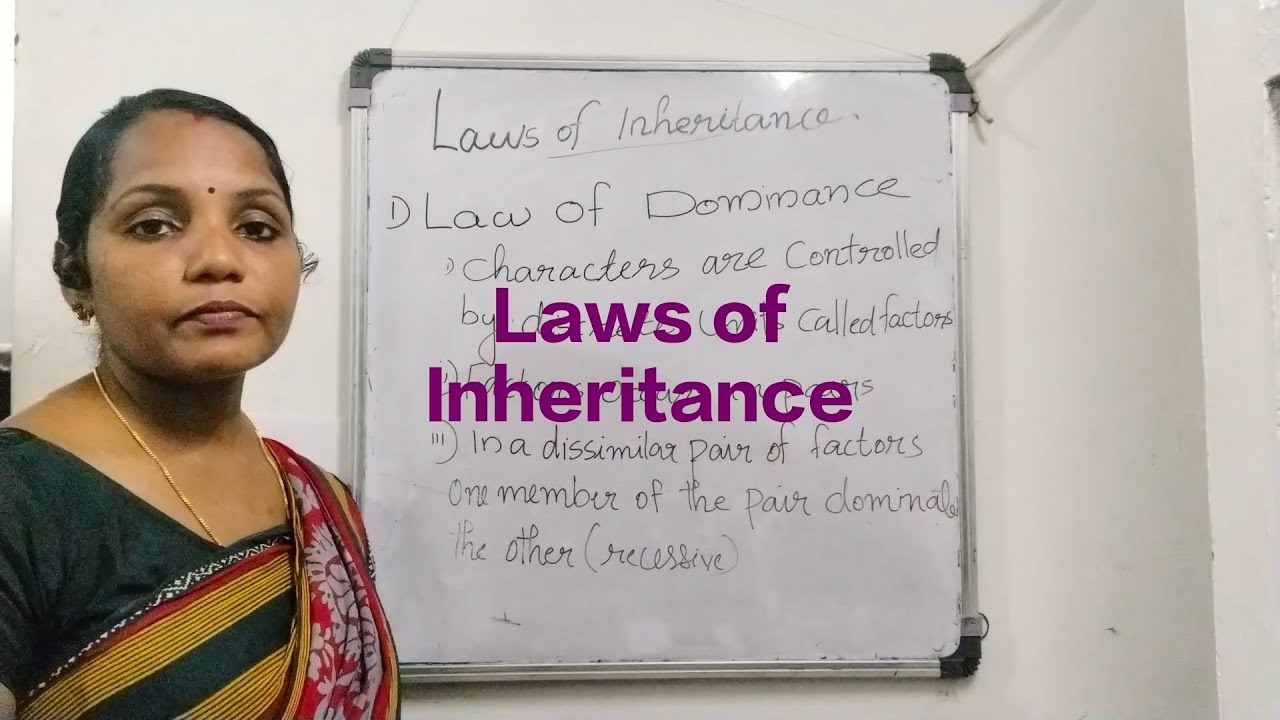 Laws of Inheritance in principles of inhertance and Variation#education ...