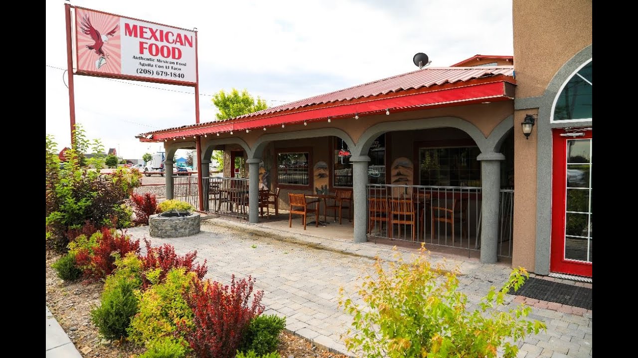 Aguila Con El Taco - Success Story - YouTube