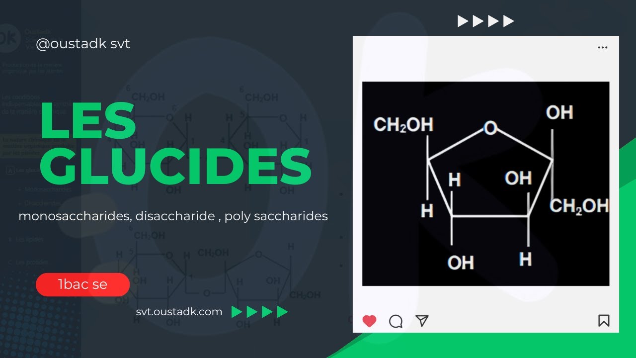 Diagramme Des Disaccharides Le Lactose, Un Sucre Pas Comme Les Autres
