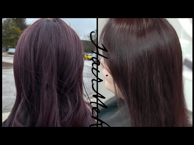 Black Plum Hair Color Deep Purple Hair Color 💜