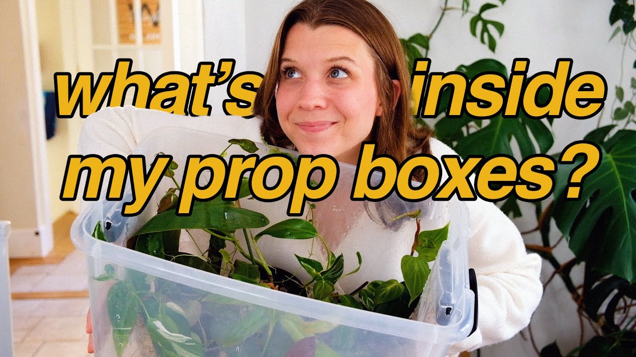 cleaning out my prop boxes after ignoring them all summer 🫣 - YouTube