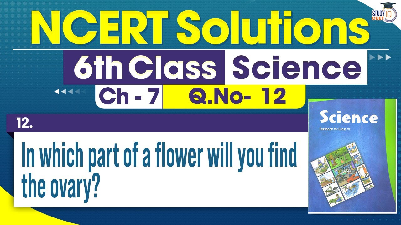NCERT Solutions Class 6 Science Chapter 7 Question No. 12 | Getting to ...