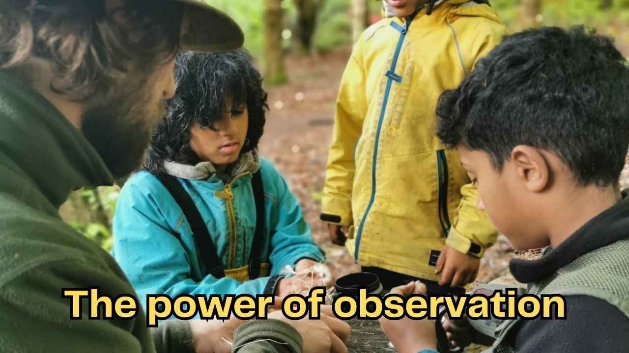 How to be a Highly Effective Forest School Leader - Seek first to ...