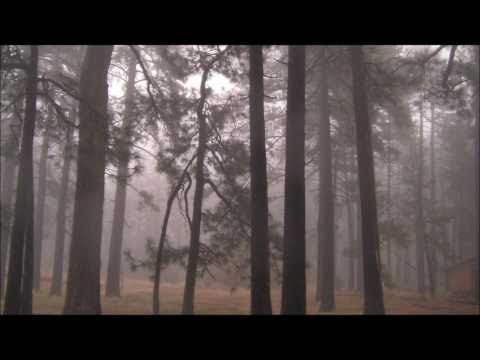 Amethystium – Evermind (2005, CD) - Discogs