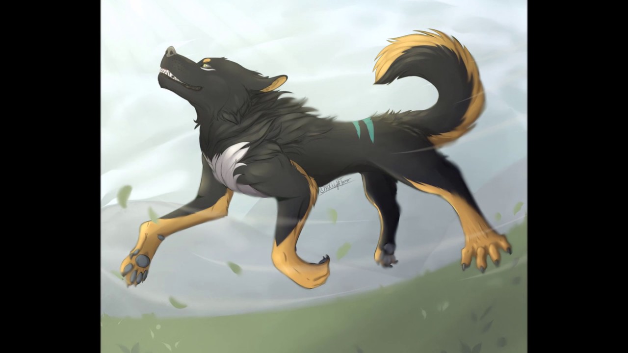 Anime wolves - human - YouTube