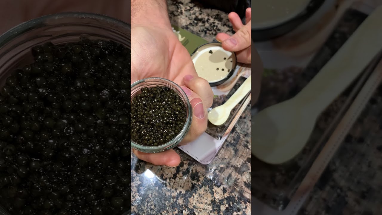 Osetra Sturgeon Caviar Costco Tasting - YouTube
