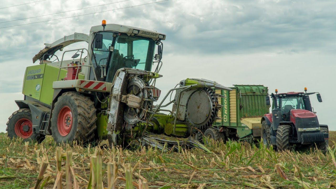 Siláže 2023🌽 Case IH Magnum 310 & Claas Jaguar 850💚 - YouTube